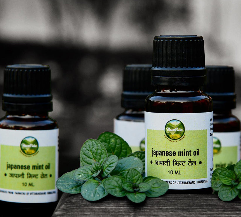 HavePure Japanese Mint Oil – 10ml | Pure Essential Oil for Headache Re